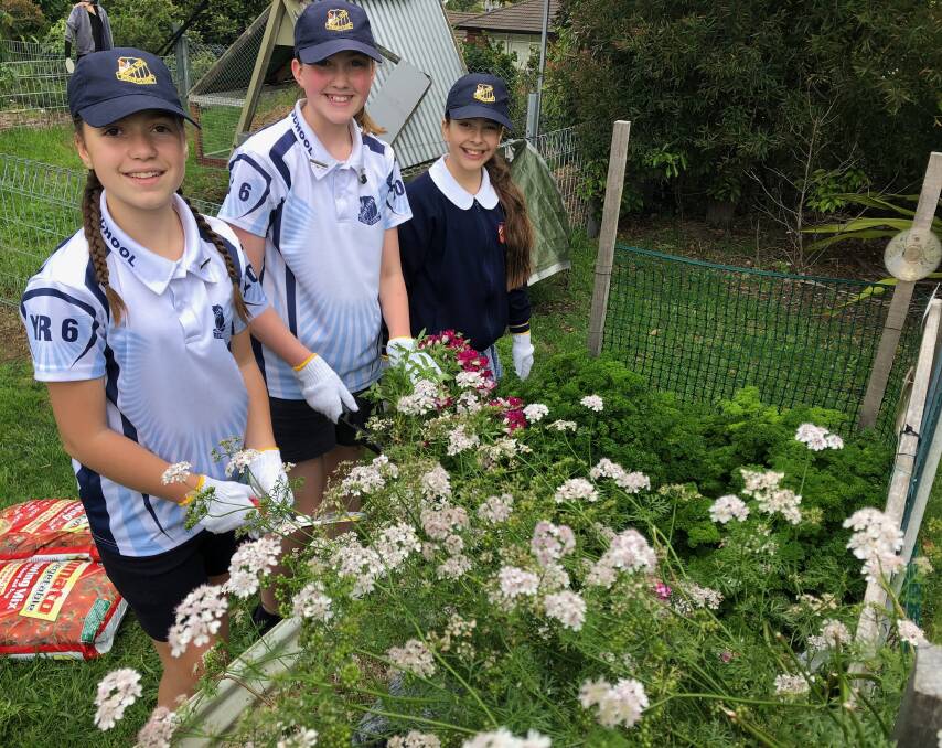 Bald Face Public School Sydney Australia | Profile, Rating, Fee ...